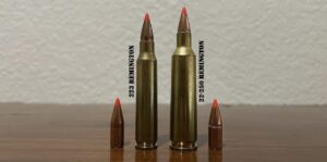 22 ARC: A Review Of Hornady's Hot New Rifle Cartridge