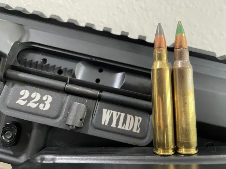 22 ARC vs 223 Remington: New Hot Rod? Or Old Reliable?