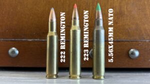 22 ARC vs 223 Remington: New Hot Rod? Or Old Reliable?